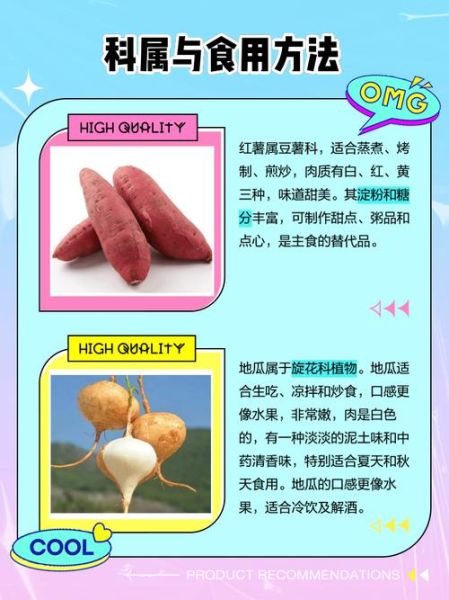 地瓜和红薯一样吗_地瓜和红薯的区别图片-第2张图片-山城妙识 地瓜和红薯一样吗_地瓜和红薯的区别图片-第2张图片-山城妙识