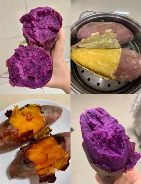 红薯和紫薯哪个更有营养_糖尿病人能吃红薯吗-第3张图片-山城妙识