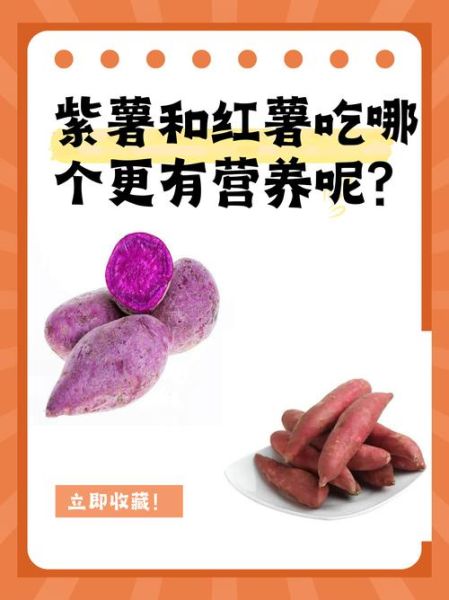 红薯和紫薯哪个更有营养_糖尿病人能吃红薯吗-第1张图片-山城妙识