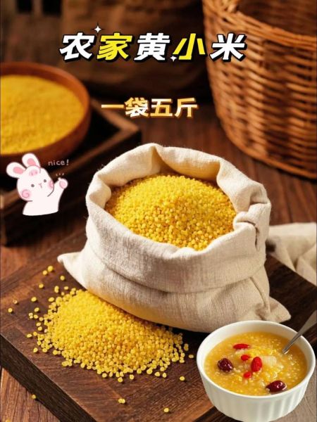 小米粥怎么熬粘稠又香又黄_小米粥怎样熬出米油-第3张图片-山城妙识