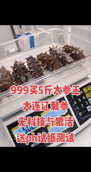 大连买海参哪里便宜_大连海参批发市场在哪-第1张图片-山城妙识 大连买海参哪里便宜_大连海参批发市场在哪-第1张图片-山城妙识