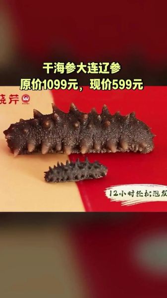 大连买海参哪里便宜_大连海参批发市场在哪-第2张图片-山城妙识 大连买海参哪里便宜_大连海参批发市场在哪-第2张图片-山城妙识