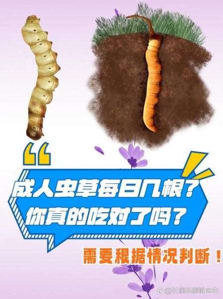 男人吃虫草能提高性功能吗_虫草壮阳多久见效-第2张图片-山城妙识 男人吃虫草能提高性功能吗_虫草壮阳多久见效-第2张图片-山城妙识