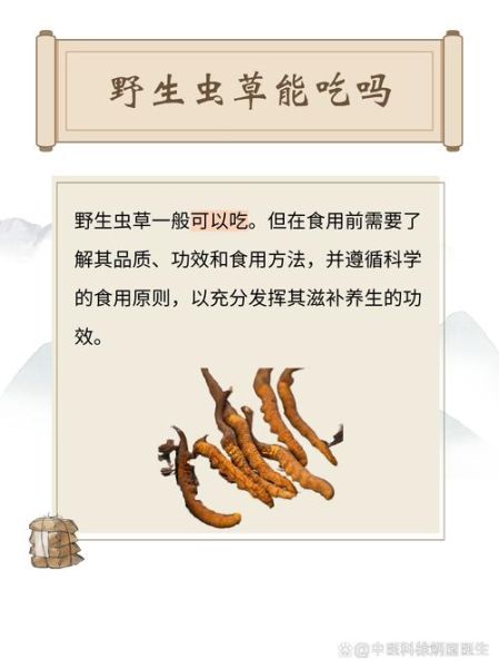 男人吃虫草能提高性功能吗_虫草壮阳多久见效-第3张图片-山城妙识 男人吃虫草能提高性功能吗_虫草壮阳多久见效-第3张图片-山城妙识