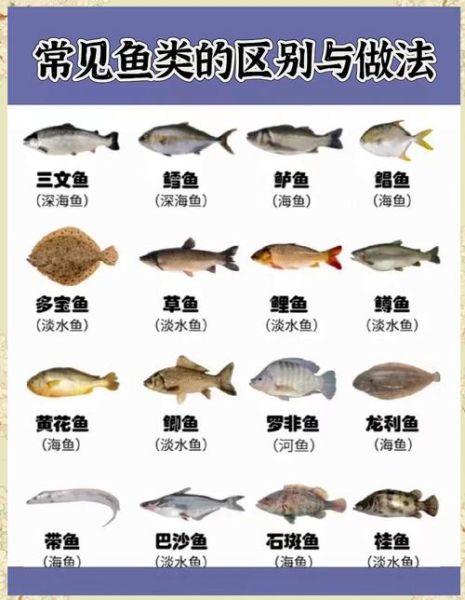 常见食用海鱼有哪些_海鱼营养价值排行榜-第1张图片-山城妙识 常见食用海鱼有哪些_海鱼营养价值排行榜-第1张图片-山城妙识