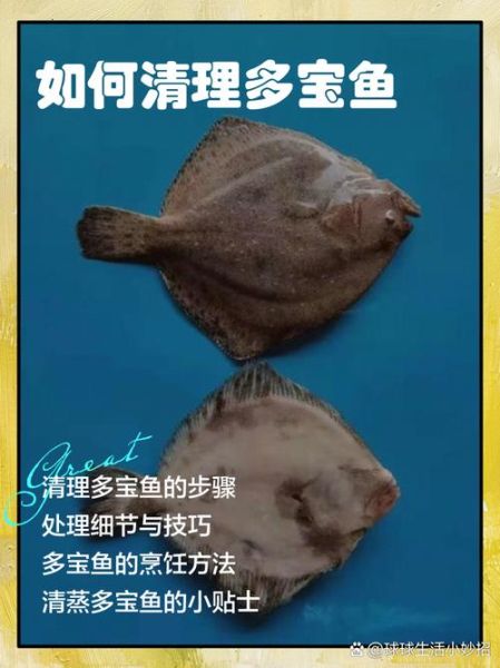 多宝鱼怎么去内脏_多宝鱼清理内脏视频教程-第1张图片-山城妙识