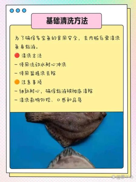 多宝鱼怎么去内脏_多宝鱼清理内脏视频教程-第2张图片-山城妙识