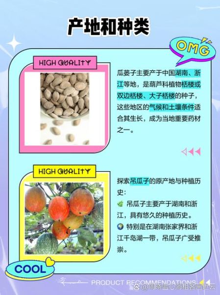 吊瓜子是什么_吊瓜子和瓜蒌子区别-第1张图片-山城妙识