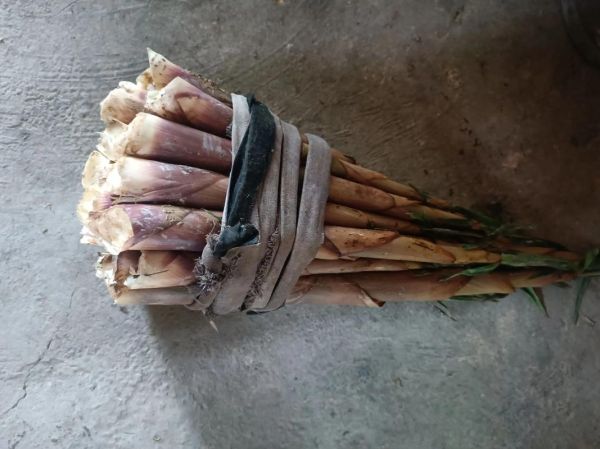 苦竹笋怎么做才不苦_苦竹笋去苦味的家常做法-第1张图片-山城妙识 苦竹笋怎么做才不苦_苦竹笋去苦味的家常做法-第1张图片-山城妙识