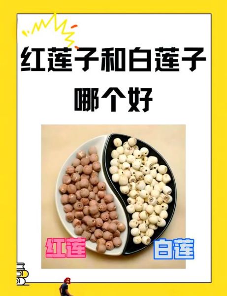 白莲子和红莲子哪个好_区别与功效对比-第1张图片-山城妙识