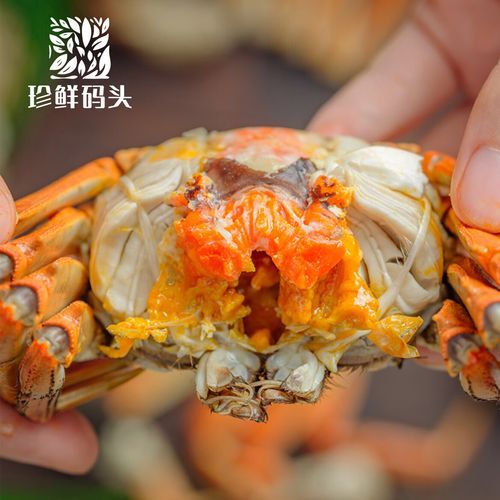 大闸蟹礼券哪家好_大闸蟹礼券怎么选-第2张图片-山城妙识