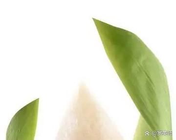 白粽子热量是多少_减肥能吃白粽子吗-第3张图片-山城妙识
