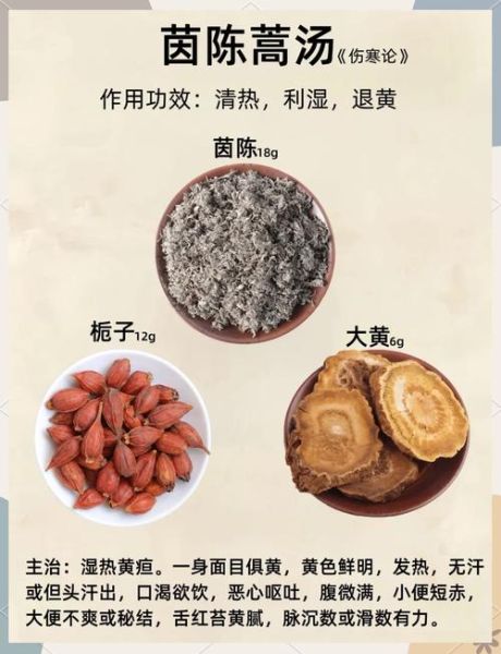 茵陈蒿的功效与作用_茵陈蒿怎么泡水喝-第1张图片-山城妙识