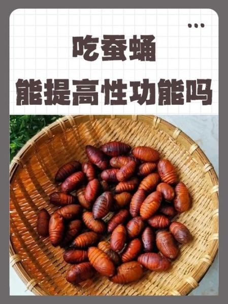 蚕蛹图片大全可爱_蚕蛹为什么看起来萌萌哒-第2张图片-山城妙识 蚕蛹图片大全可爱_蚕蛹为什么看起来萌萌哒-第2张图片-山城妙识