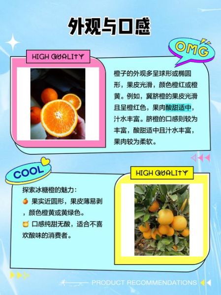 冰糖橙怎么挑选_冰糖橙和脐橙的区别-第1张图片-山城妙识