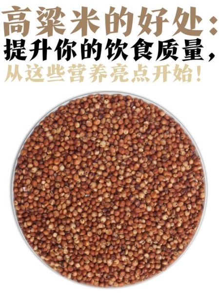 白脸高粱米饭怎么做_白脸高粱米饭热量高吗-第3张图片-山城妙识