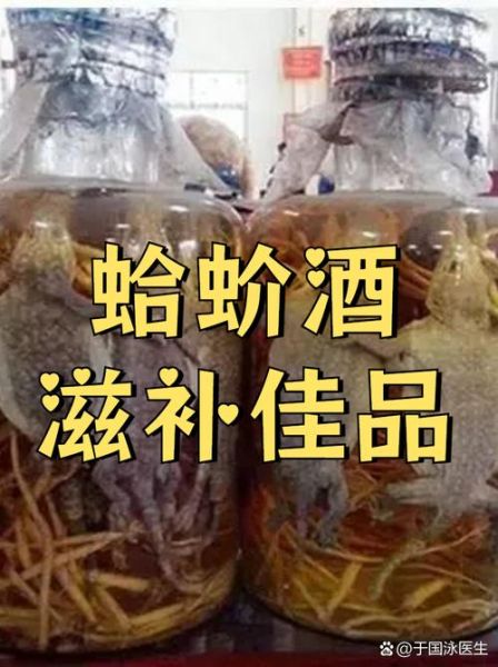 蛤蚧泡酒的功效与作用_蛤蚧酒怎么泡才有效-第1张图片-山城妙识