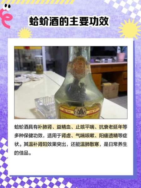 蛤蚧泡酒的功效与作用_蛤蚧酒怎么泡才有效-第2张图片-山城妙识