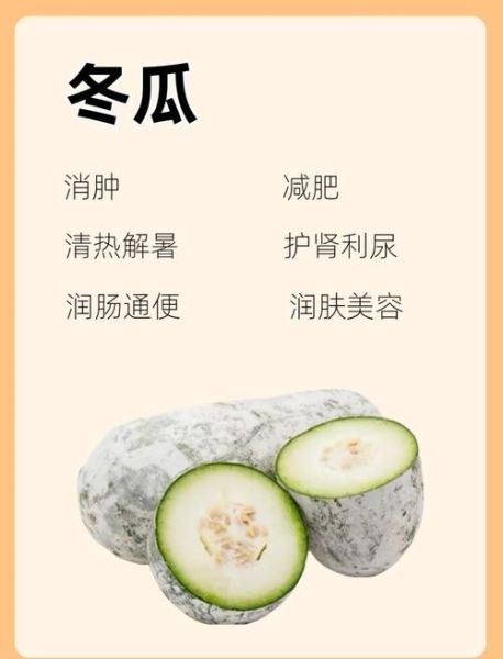 冬瓜的功效与作用禁忌_哪些人不能吃-第1张图片-山城妙识