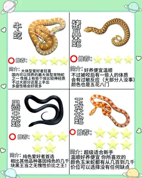 农村常见蛇有哪些_怎么识别毒蛇与无毒蛇-第3张图片-山城妙识