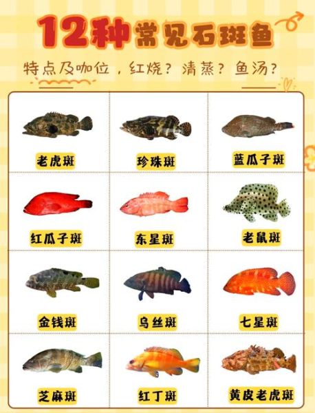 石斑鱼怎么做去毒_石斑鱼毒素怎么去除-第3张图片-山城妙识