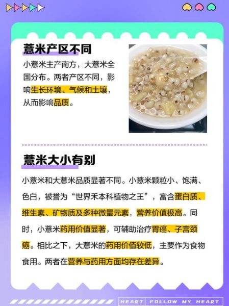 大薏米和小薏米的区别_哪个祛湿更好-第2张图片-山城妙识