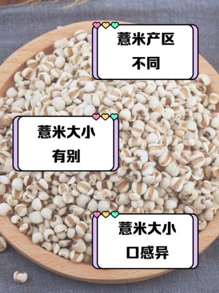 大薏米和小薏米的区别_哪个祛湿更好-第1张图片-山城妙识