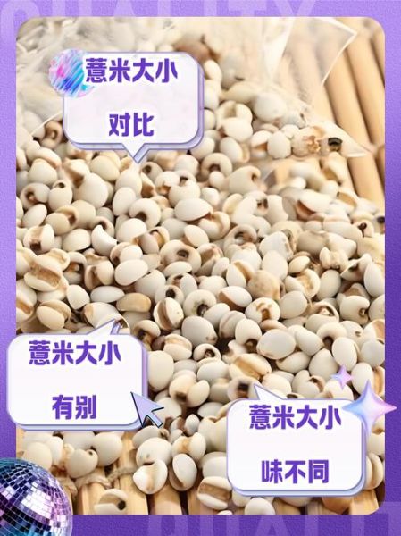 大薏米和小薏米的区别_哪个祛湿更好-第3张图片-山城妙识
