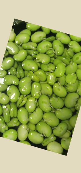 茴香豆的功效与作用_茴香豆怎么做才好吃-第3张图片-山城妙识