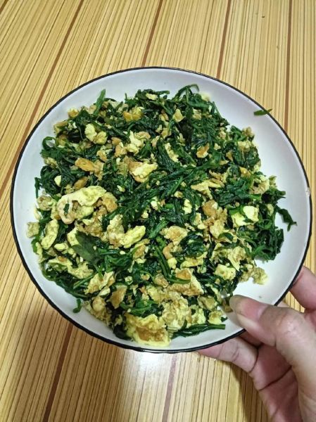 艾叶炒鸡蛋有什么功效_艾叶炒鸡蛋怎么做-第1张图片-山城妙识