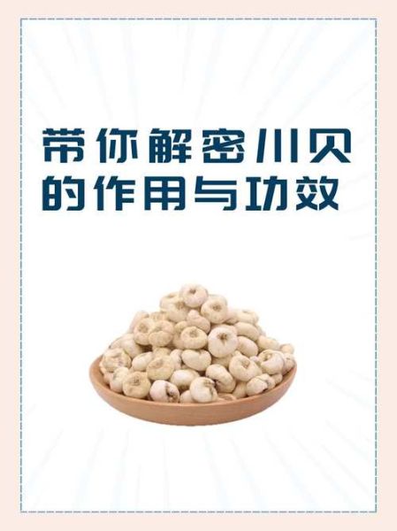 川贝的功效与作用_川贝怎么吃止咳化痰-第1张图片-山城妙识 川贝的功效与作用_川贝怎么吃止咳化痰-第1张图片-山城妙识