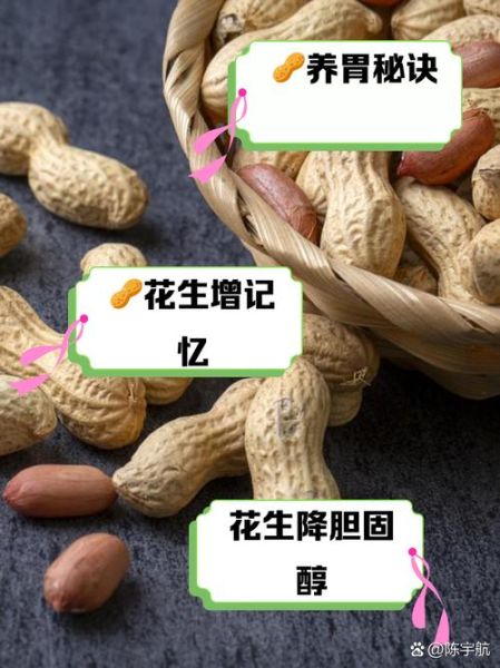 一天吃几粒生花生治胃病_生花生怎么吃最养胃-第2张图片-山城妙识