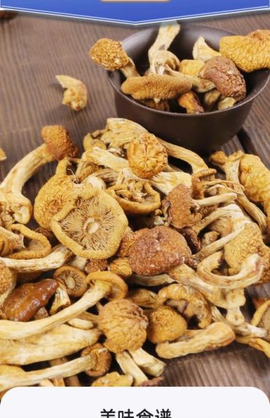干滑子蘑的功效与作用_干滑子蘑怎么吃最营养-第3张图片-山城妙识 干滑子蘑的功效与作用_干滑子蘑怎么吃最营养-第3张图片-山城妙识