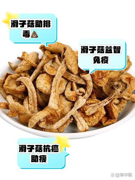干滑子蘑的功效与作用_干滑子蘑怎么吃最营养-第1张图片-山城妙识 干滑子蘑的功效与作用_干滑子蘑怎么吃最营养-第1张图片-山城妙识
