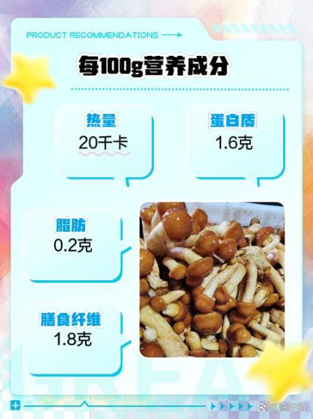 干滑子蘑的功效与作用_干滑子蘑怎么吃最营养-第2张图片-山城妙识 干滑子蘑的功效与作用_干滑子蘑怎么吃最营养-第2张图片-山城妙识