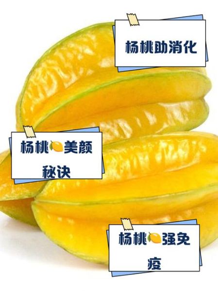 杨桃的功效与作用有哪些_杨桃的营养价值高吗-第1张图片-山城妙识 杨桃的功效与作用有哪些_杨桃的营养价值高吗-第1张图片-山城妙识