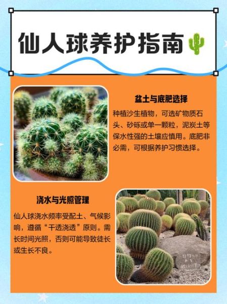 仙人球怎么养_仙人球多久浇一次水-第2张图片-山城妙识
