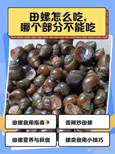 吃田螺的危害_吃田螺会感染寄生虫吗-第1张图片-山城妙识