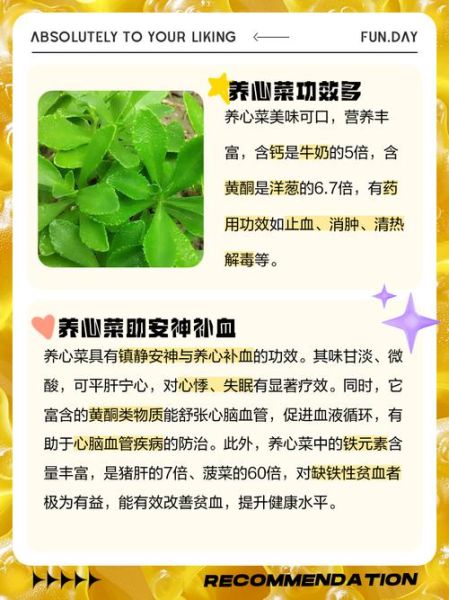 蔬菜的营养价值及功效_哪些蔬菜最有营养-第3张图片-山城妙识 蔬菜的营养价值及功效_哪些蔬菜最有营养-第3张图片-山城妙识