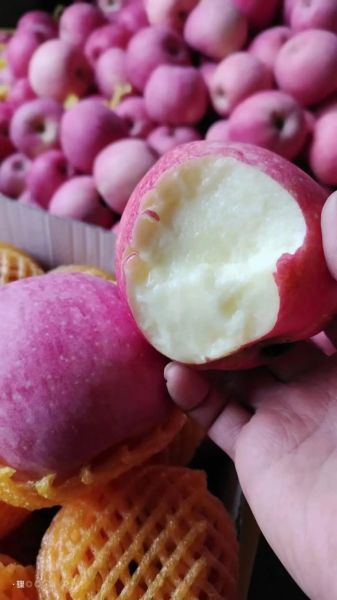 甘肃特产有哪些送人的_甘肃送礼选什么好-第3张图片-山城妙识 甘肃特产有哪些送人的_甘肃送礼选什么好-第3张图片-山城妙识