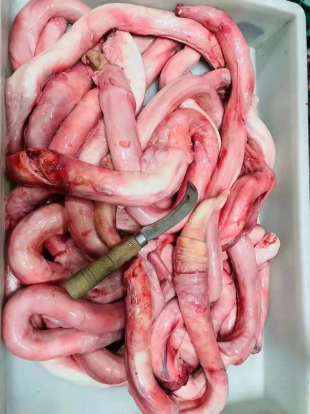 牛鞭图片真实_牛鞭怎么辨别真假-第1张图片-山城妙识 牛鞭图片真实_牛鞭怎么辨别真假-第1张图片-山城妙识