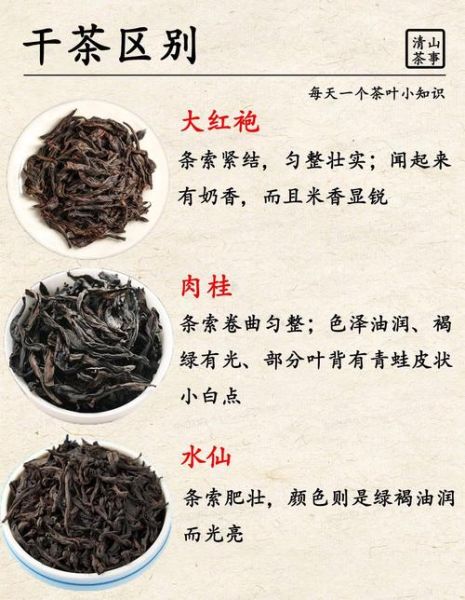 岩茶水仙和肉桂的区别_哪个更好喝-第2张图片-山城妙识