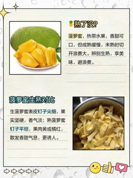 菠萝菠萝蜜菠萝菠萝1是什么_如何快速记住-第1张图片-山城妙识