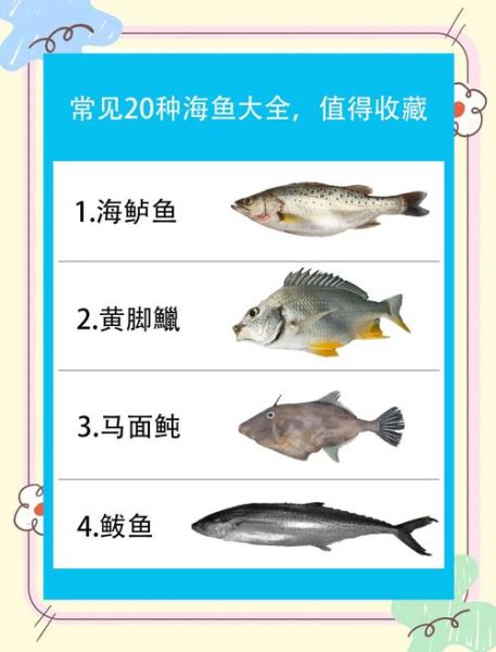 海洋鱼类视频怎么拍_深海鱼有哪些品种-第3张图片-山城妙识 海洋鱼类视频怎么拍_深海鱼有哪些品种-第3张图片-山城妙识