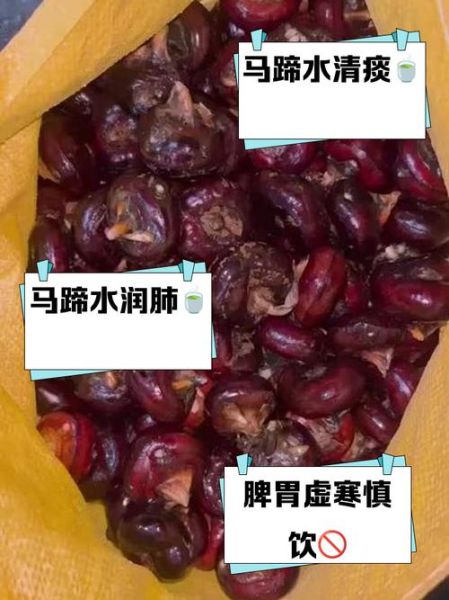 马蹄荸荠煮水喝的功效_孕妇能喝吗-第2张图片-山城妙识
