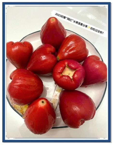 海南莲雾怎么吃_海南莲雾的正确吃法-第1张图片-山城妙识