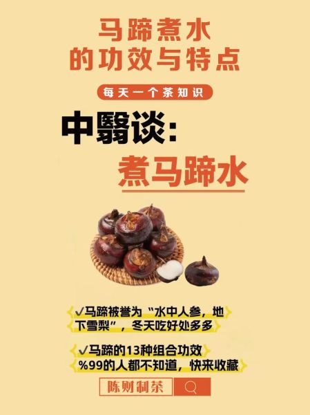 马蹄荸荠煮水喝的功效_孕妇能喝吗-第3张图片-山城妙识