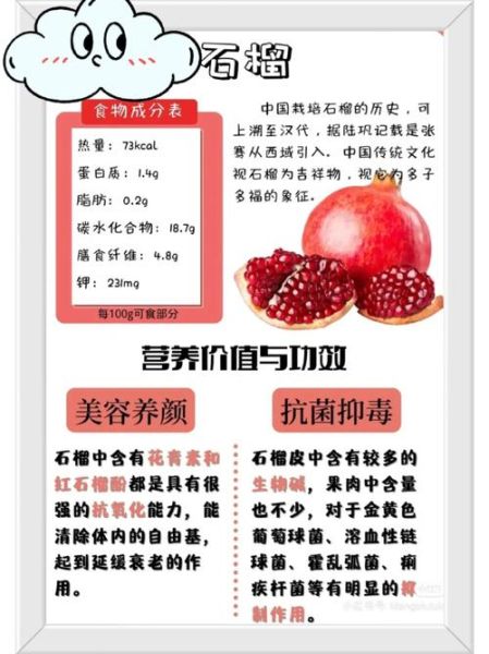 女人每天吃石榴的好处_石榴对女性的功效-第3张图片-山城妙识