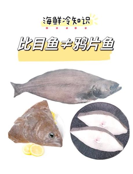 鸦片鱼图片及价格_鸦片鱼多少钱一斤-第3张图片-山城妙识