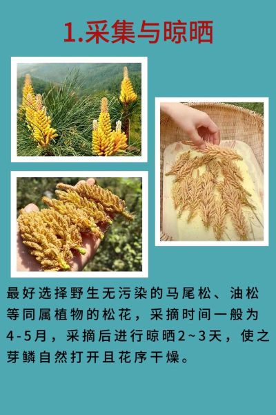 花粉怎么吃效果好_花粉有哪些营养价值-第1张图片-山城妙识